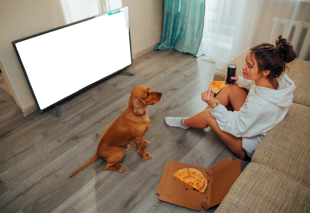 Do Dogs Like Watching TV? All You Need to Know | The Grand Paw
