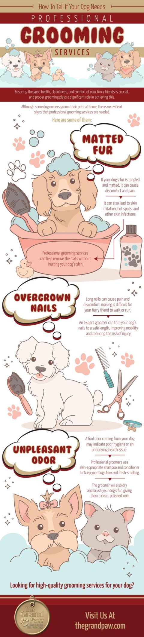 How To Tell If Your Dog Needs Professional Grooming Services | The ...