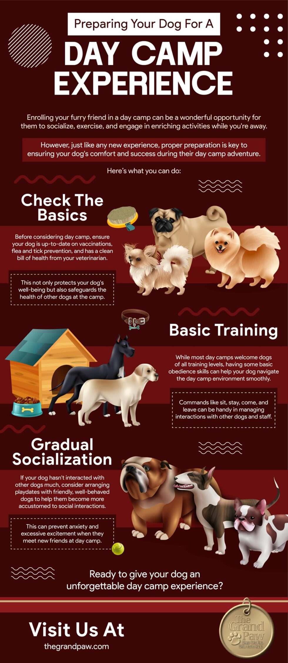 Preparing Your Dog For A Day Camp Experience | The Grand Paw